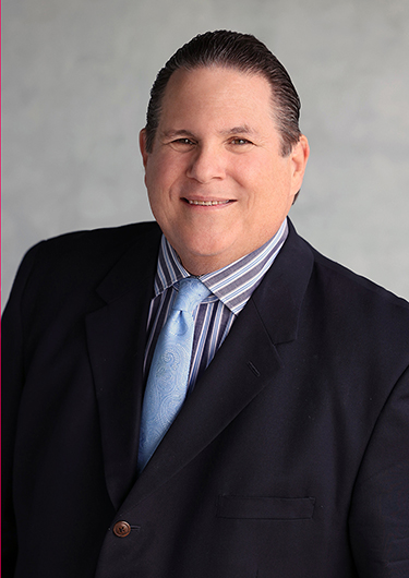 Meet the Team - Real Estate Law, Corporate Law : Davidovich Stone Law Group