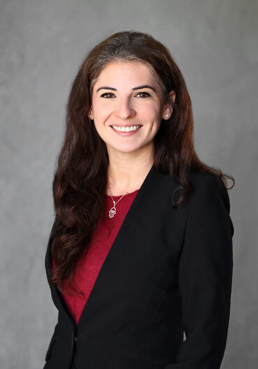 Meet the Team - Real Estate Law, Corporate Law : Davidovich Stein Law Group